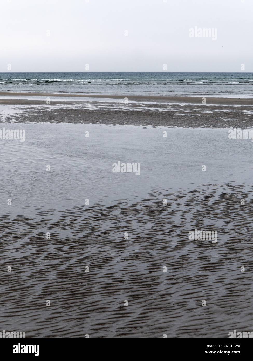 Wet sand on the shore, low tide. Gloomy seaside landscape. The harsh ...