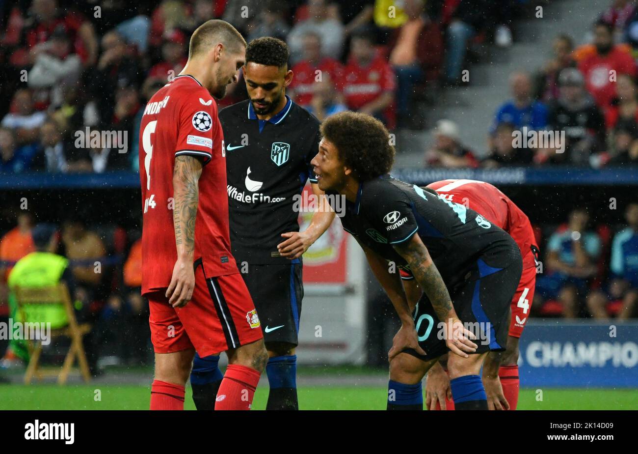 Matheus cunha bayer hi-res stock photography and images - Alamy