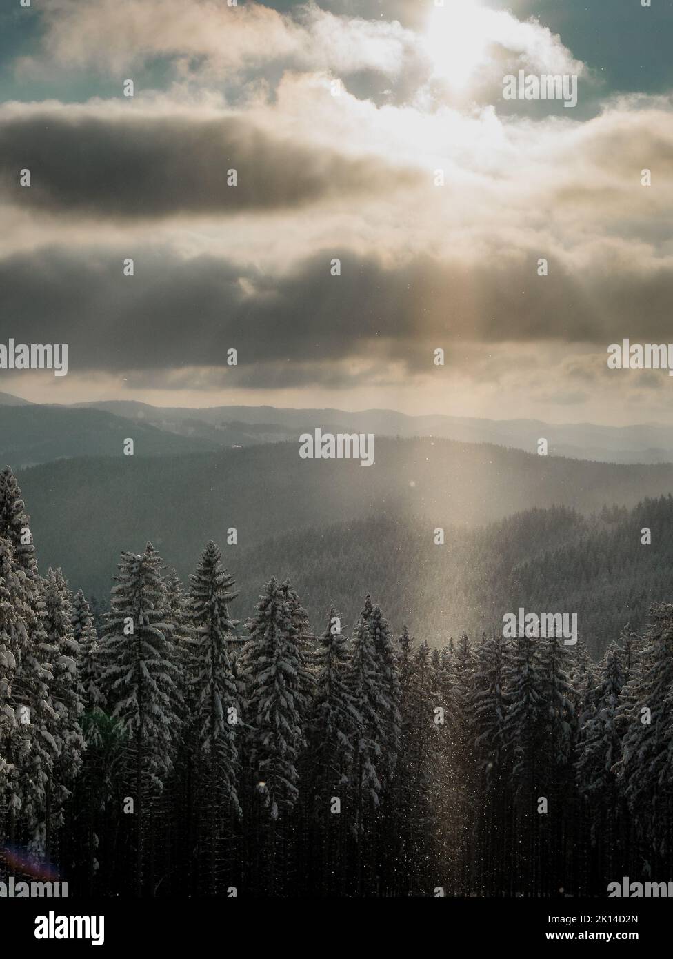 Snowy landscape and trees with sunbeam Stock Photo - Alamy