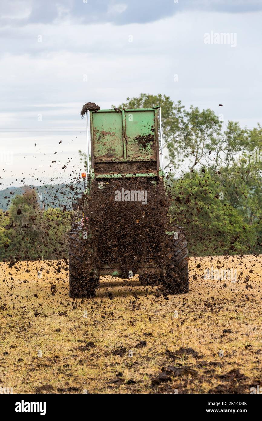 Modern agriculture. Muck spreading prior to ploughing Stock Photo - Alamy