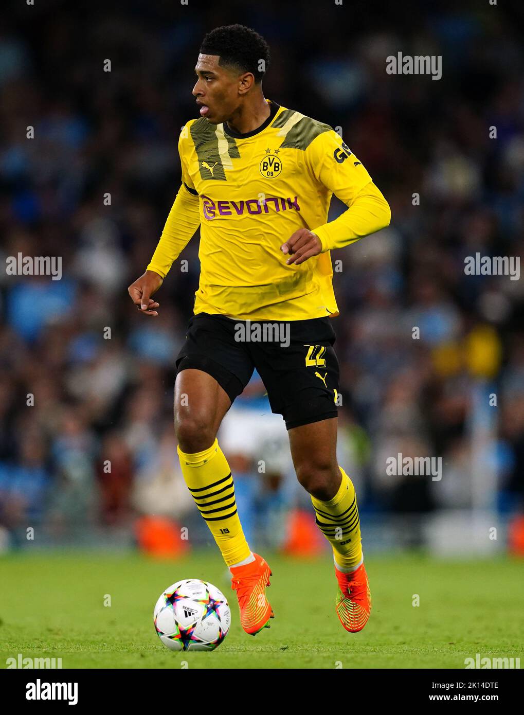 Borussia Dortmund's Jude Bellingham during the UEFA Champions League ...