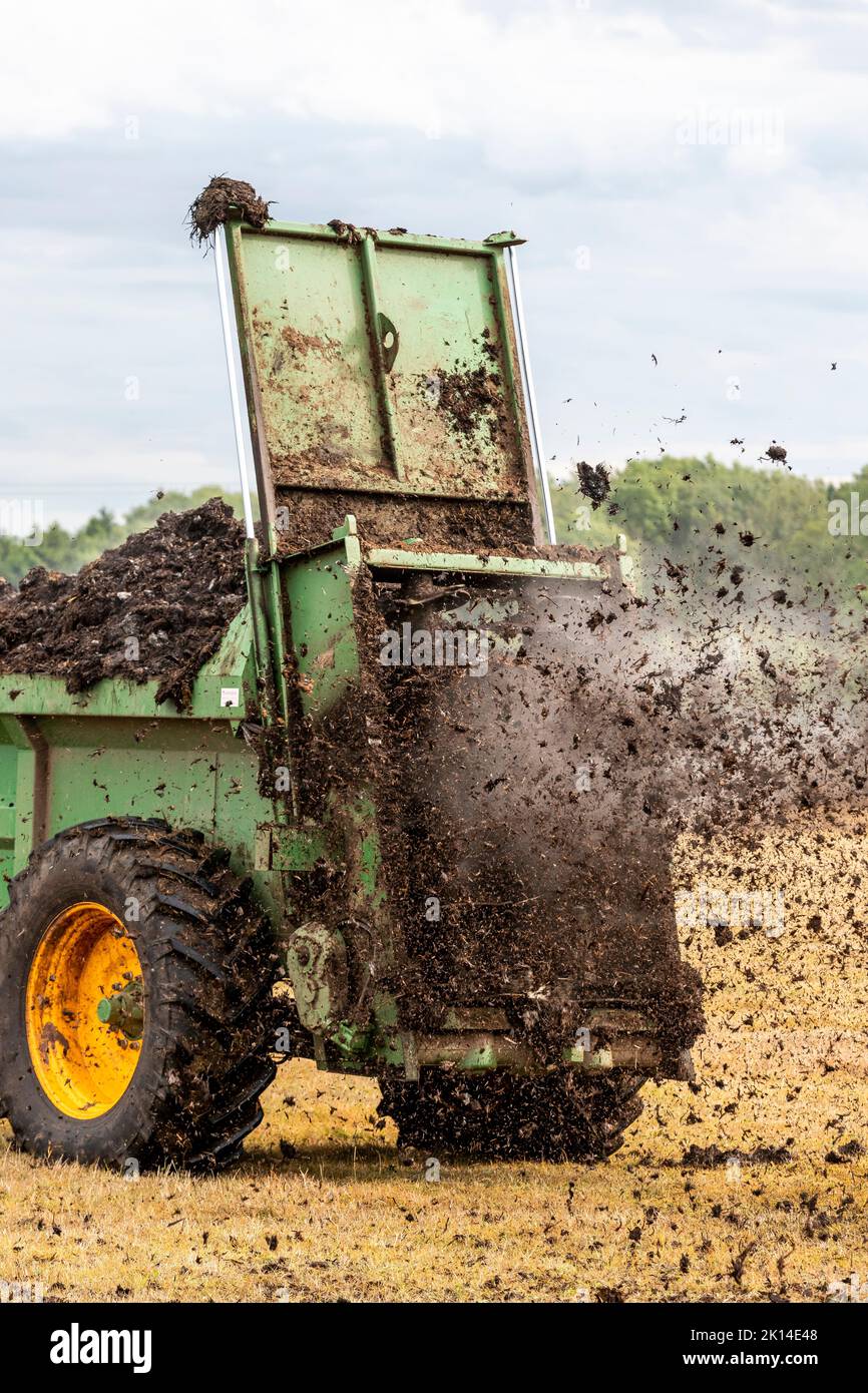 Modern agriculture. Muck spreading prior to ploughing Stock Photo - Alamy