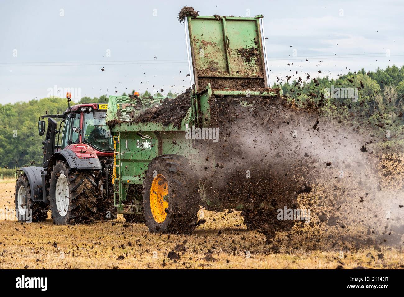 Modern agriculture. Muck spreading prior to ploughing Stock Photo - Alamy