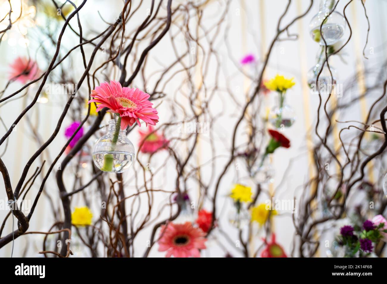Dried and preserved flower stems comes in different colors Pink, yellow ...