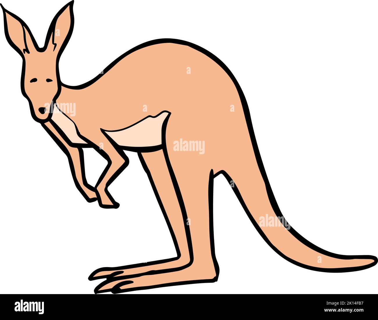 Color hand drawn standing kangaroo Stock Vector Image & Art - Alamy