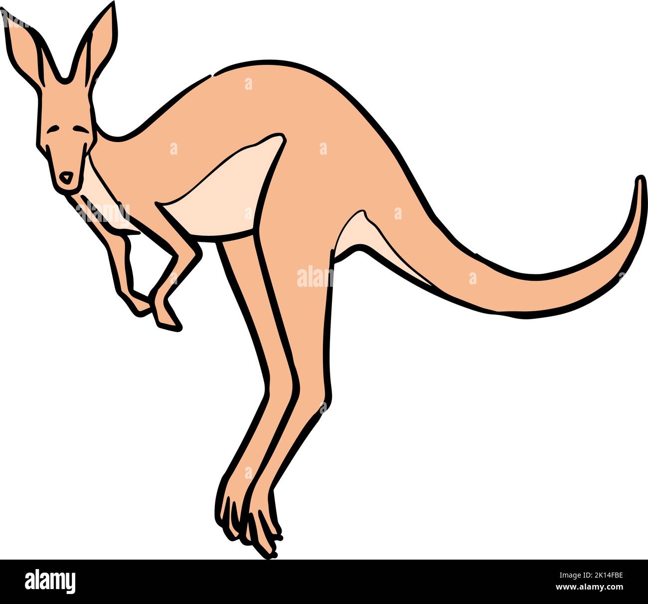 Color hand drawn jumping kangaroo Stock Vector Image & Art - Alamy