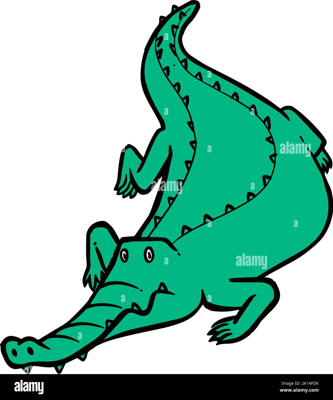 Color hand drawn alligator Stock Vector Image & Art - Alamy