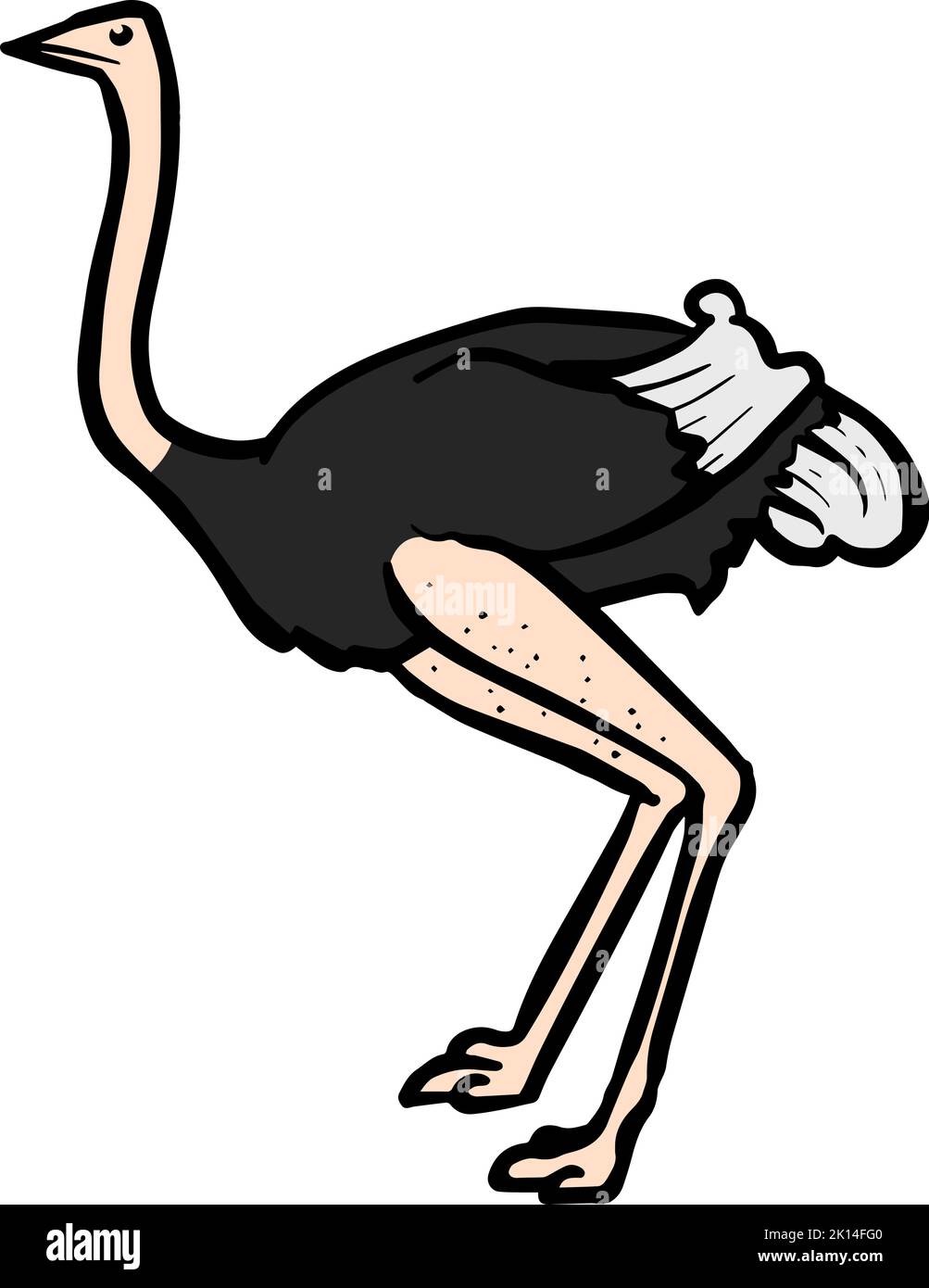 Color hand drawn ostrich Stock Vector Image & Art - Alamy