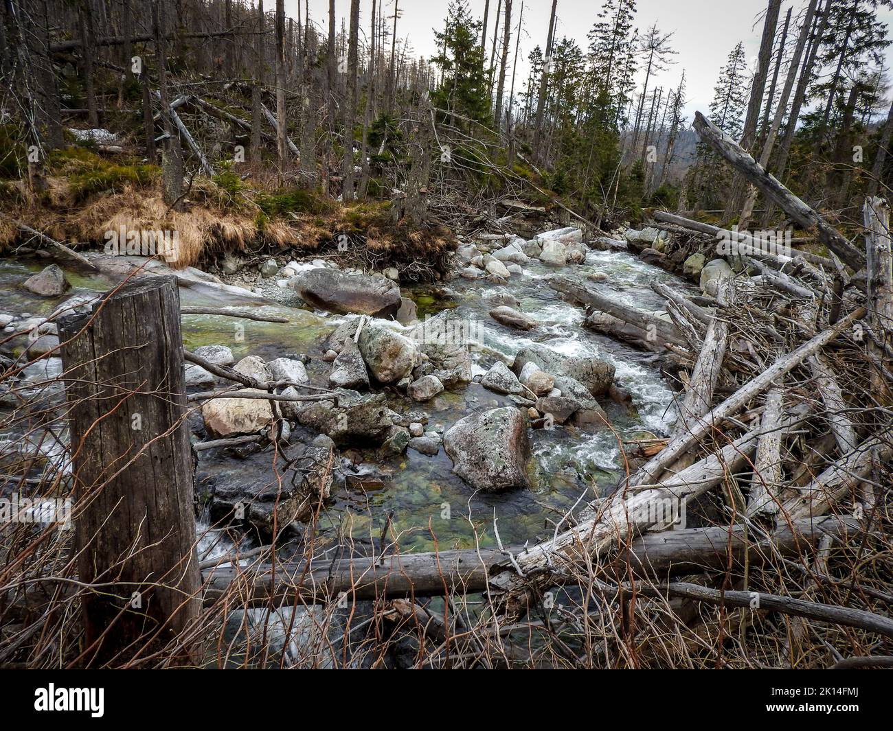 The cold mountain stream in High Tatra mountains, Slovakia Stock Photo ...