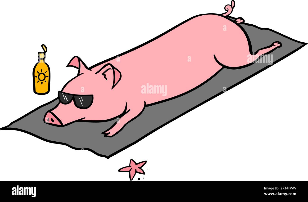 Color pig laying at the beach hand drawn Stock Vector Image & Art - Alamy