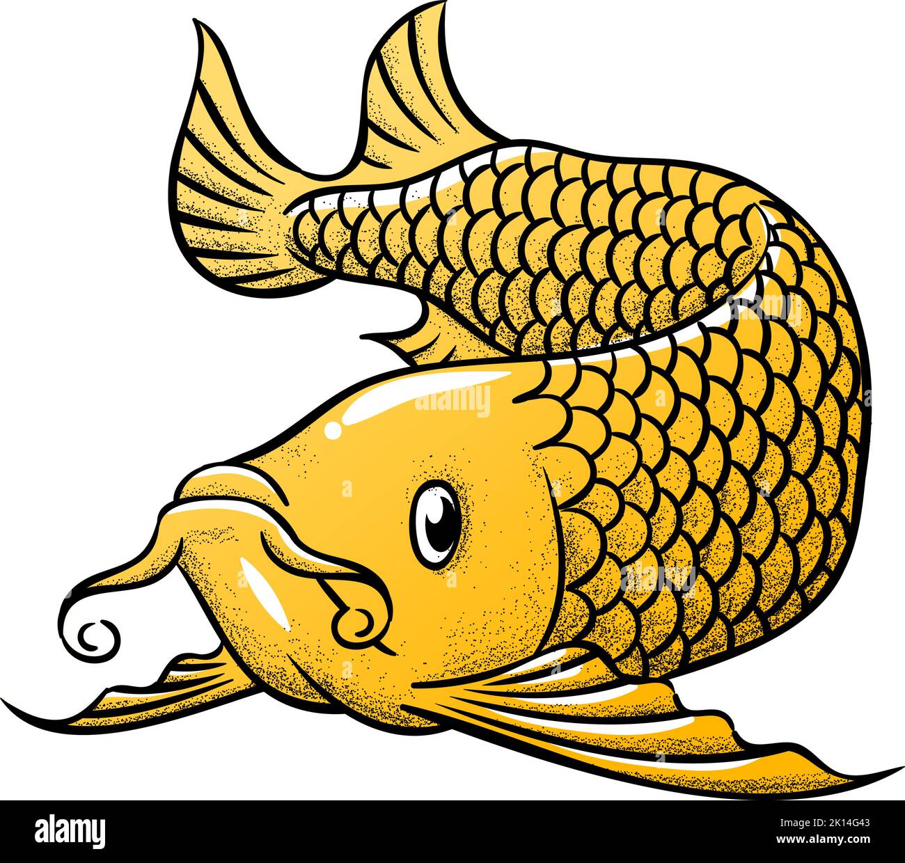 Color hand drawn arowana fish Stock Vector Image & Art - Alamy