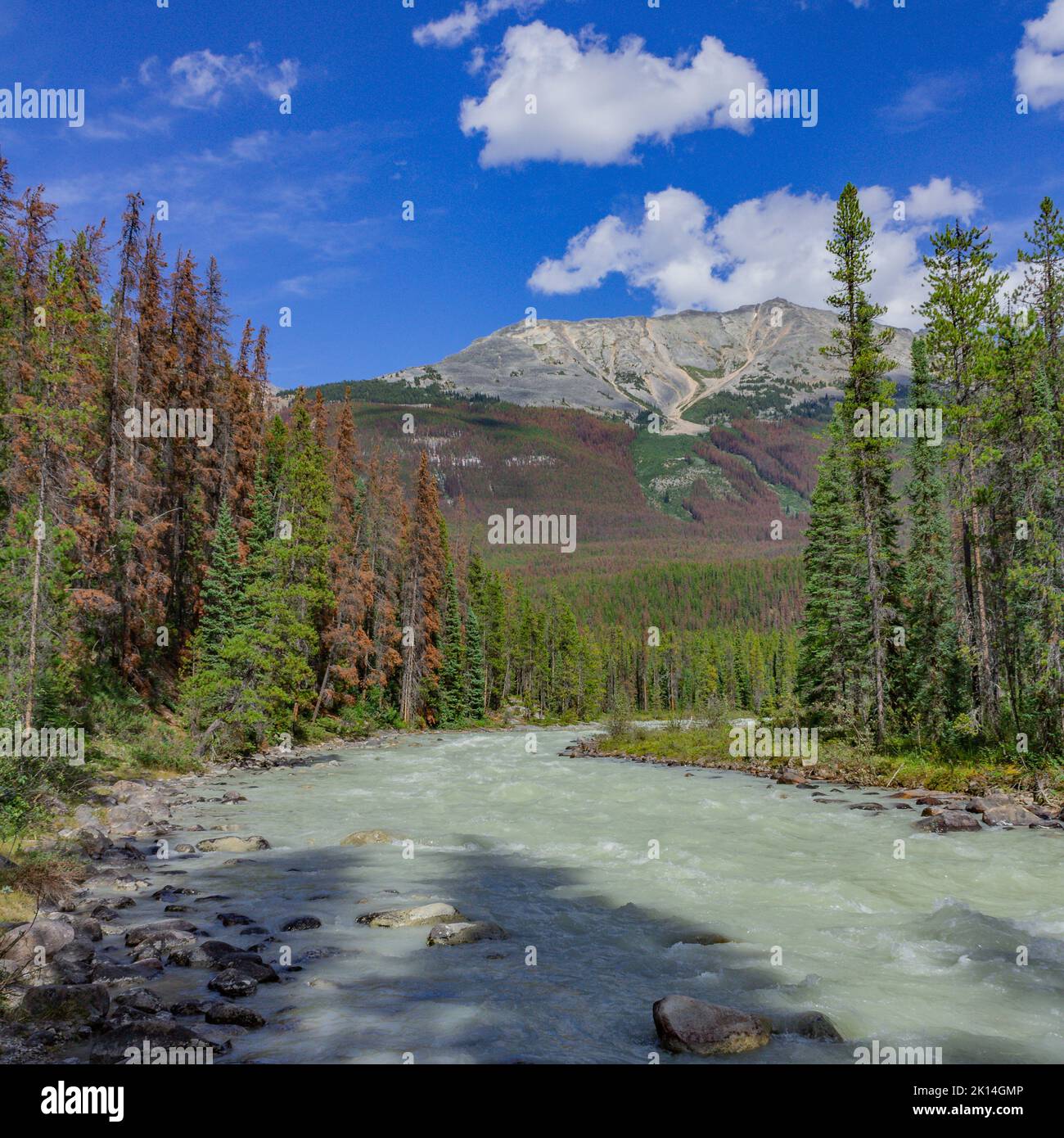 A scenic view of a river passing through a valley surrounded by ...