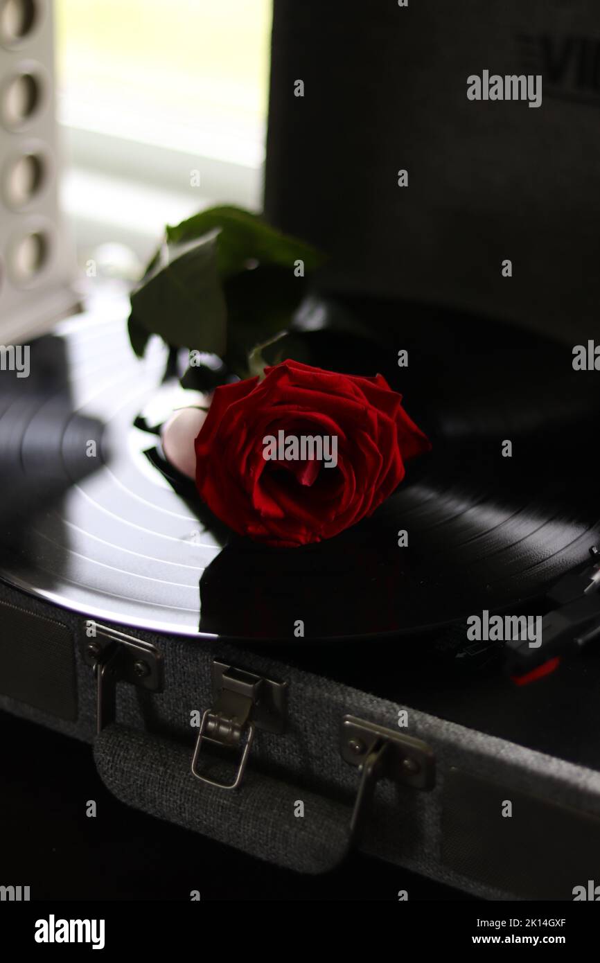 A vertical of a red rose on a vinyl record Stock Photo - Alamy