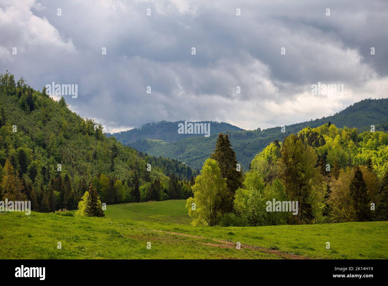 Spring landscape of meadows and forests. The Muranska planina plateau ...