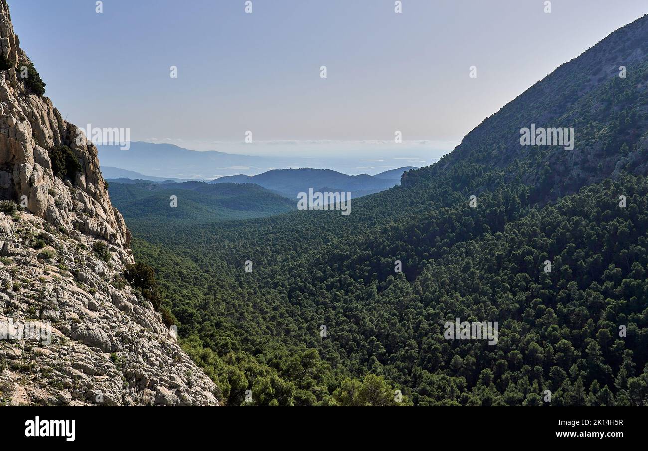 Sierra Espuña Natural Park. Sierra Espuña is a mountainous massif with ...