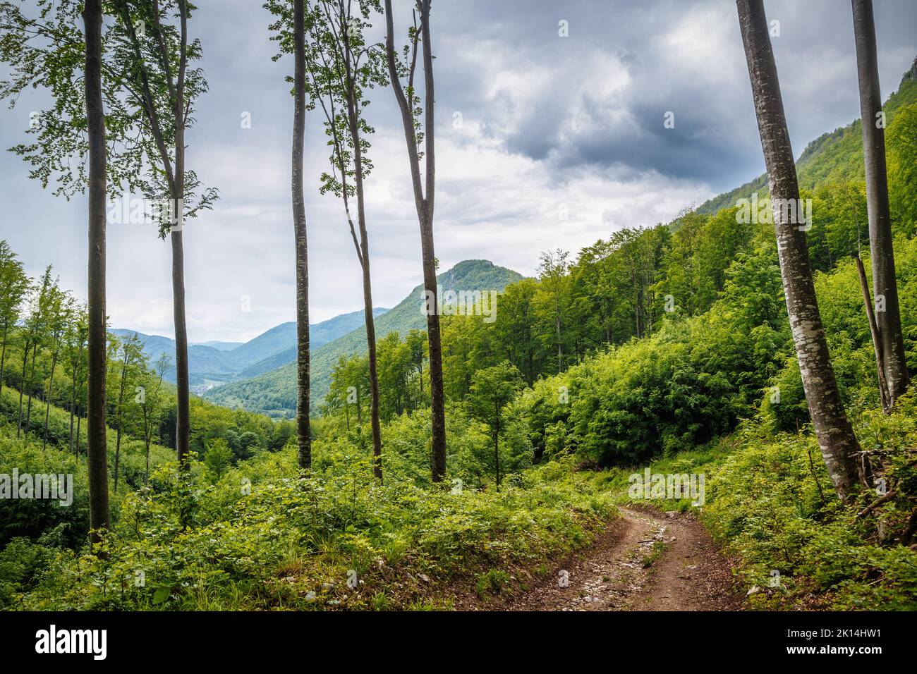 Spring cloudy landscape of hills and forests. The Muranska planina ...