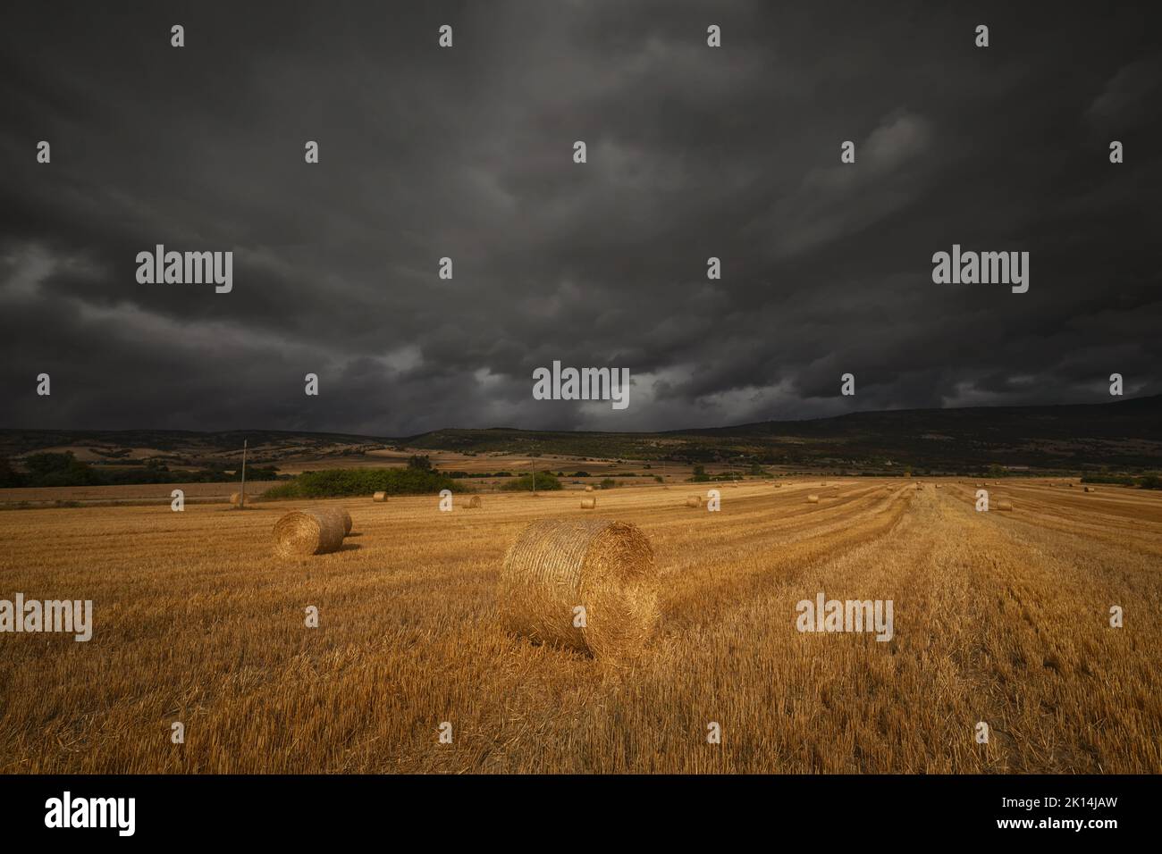 Aerial view combine harvester collecting hi-res stock photography and ...
