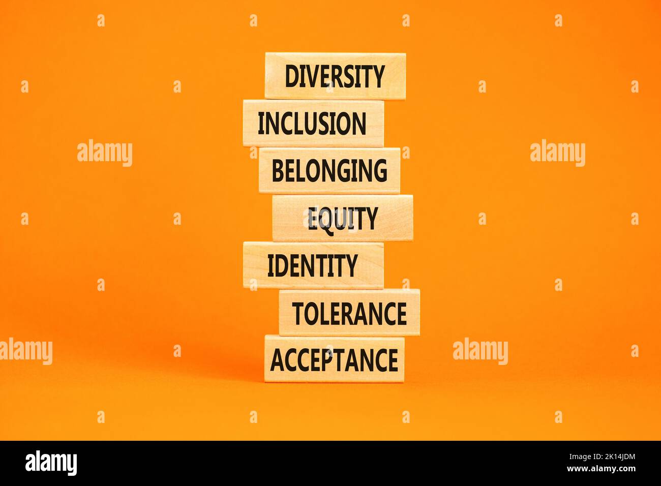 Diversity, inclusion symbol. Diversity belonging inclusion equity ...
