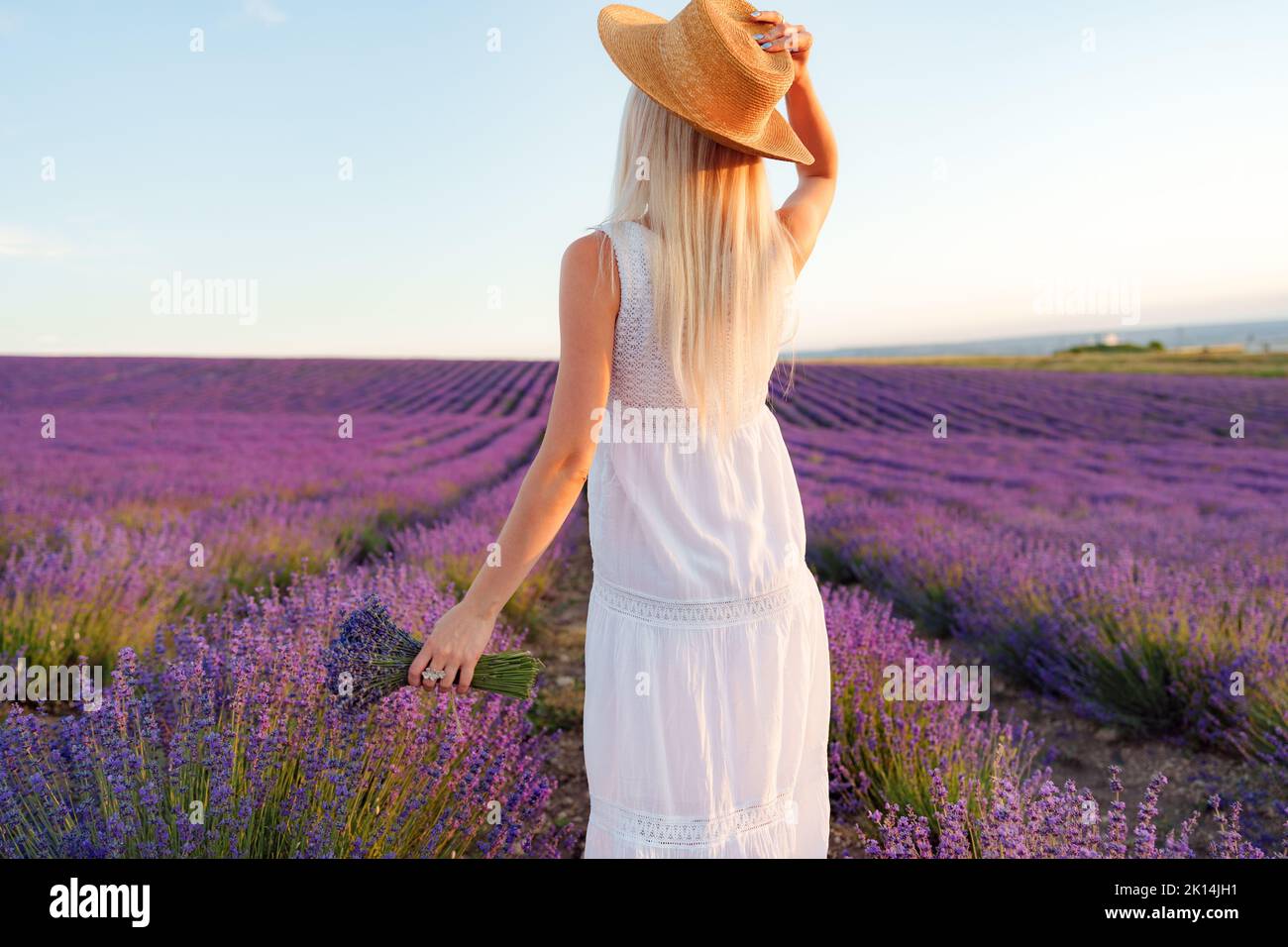 Back view of female in dress and hat standing in lavender field Stock ...