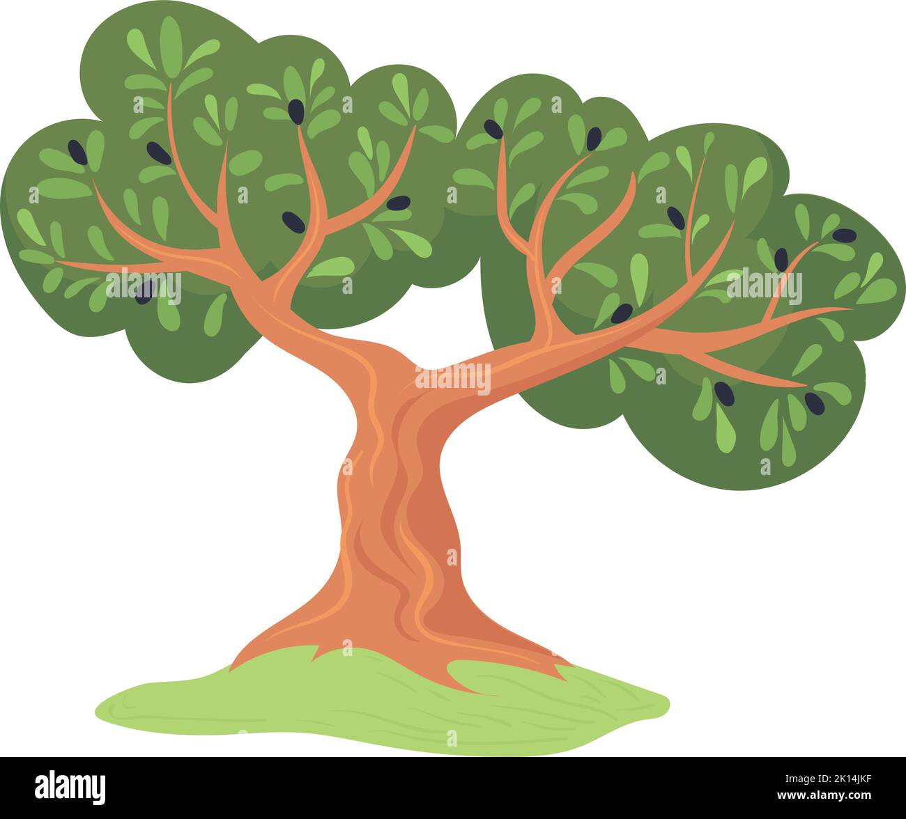 Olive tree icon. Cartoon oil farm plant isolated on white background ...