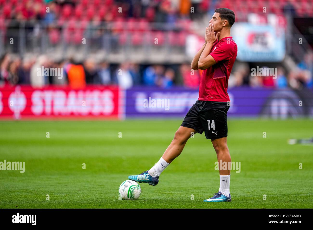 Elmin rastoder hi-res stock photography and images - Alamy