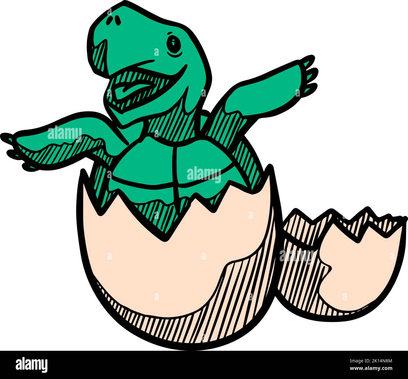 Color tortoise hatching icon Stock Vector Image & Art - Alamy