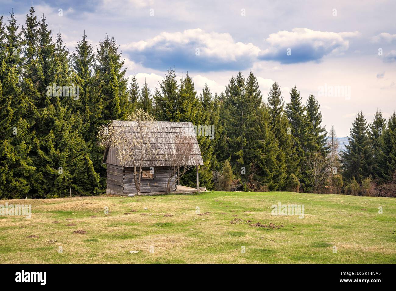 Tourist wooden shelter in The Polana small mountain range in central ...