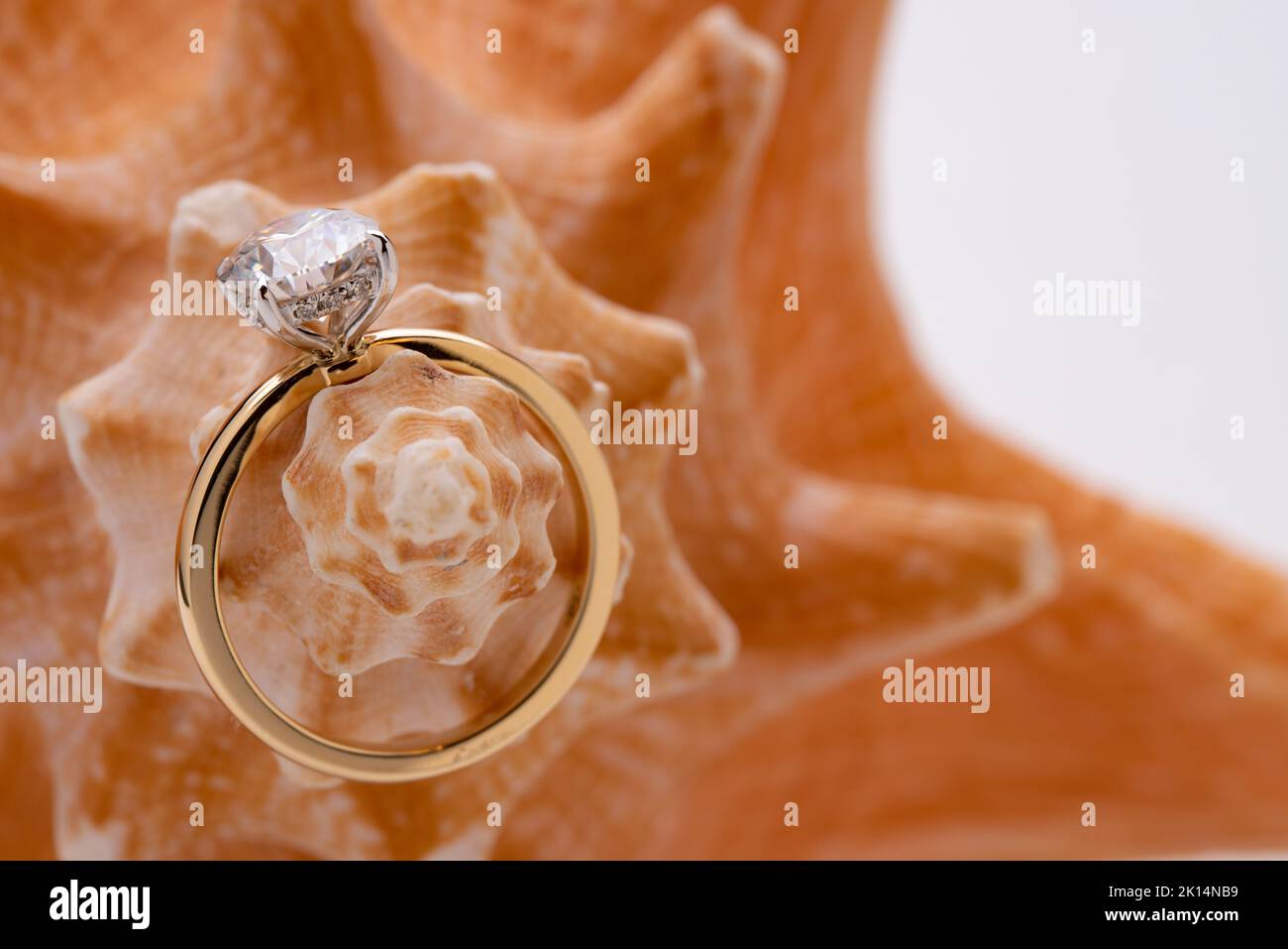 Engagement Diamond Ring on The Sea Shell Stock Photo - Alamy