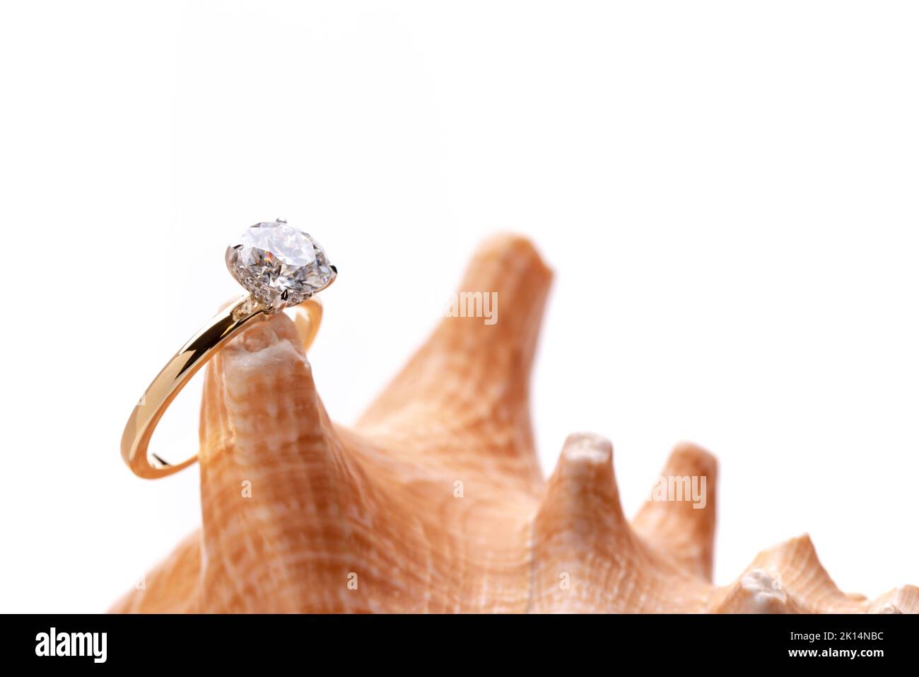 Engagement Diamond Ring on The Sea Shell Stock Photo - Alamy