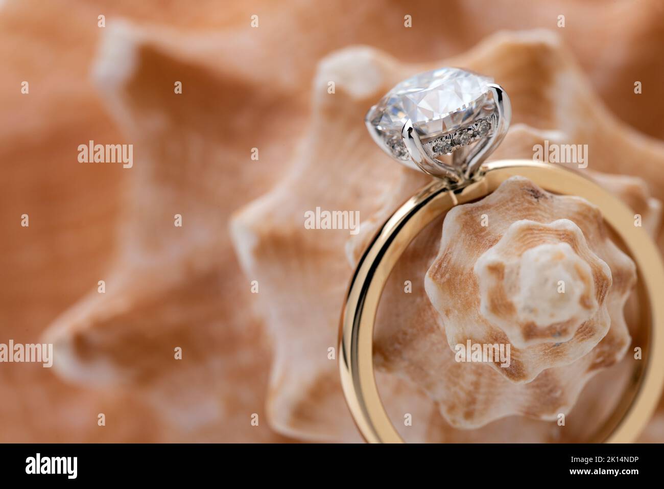 Engagement Diamond Ring on The Sea Shell Stock Photo - Alamy