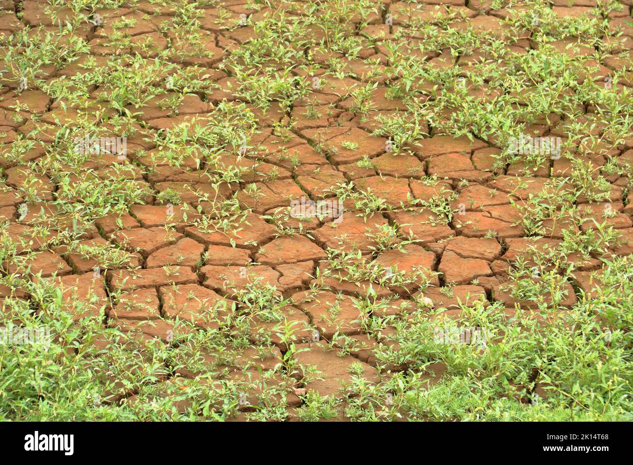 dried up empty reservoir and dam during a summer heatwave, low rainfall ...