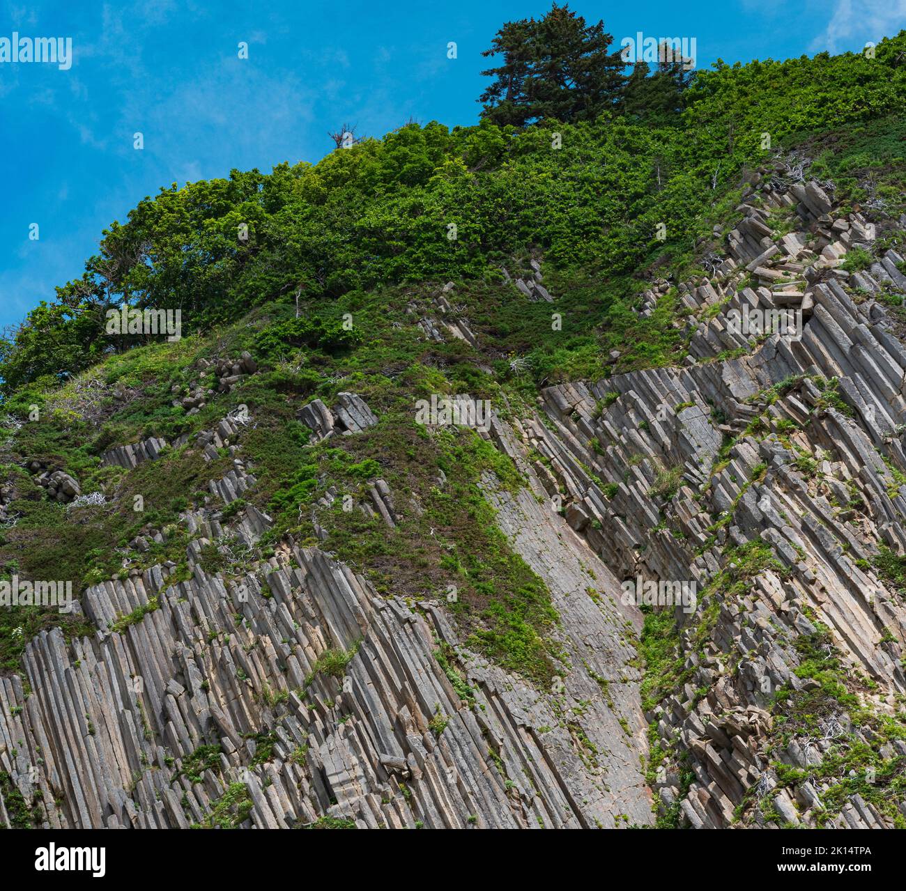 natural background, rock surface formed by inclined basalt columns ...