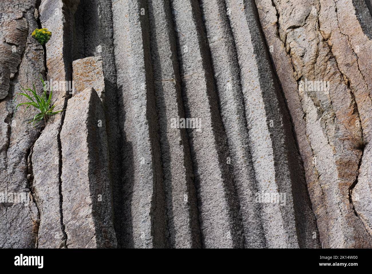 surface of a rock wall formed by columnar basalt Stock Photo - Alamy