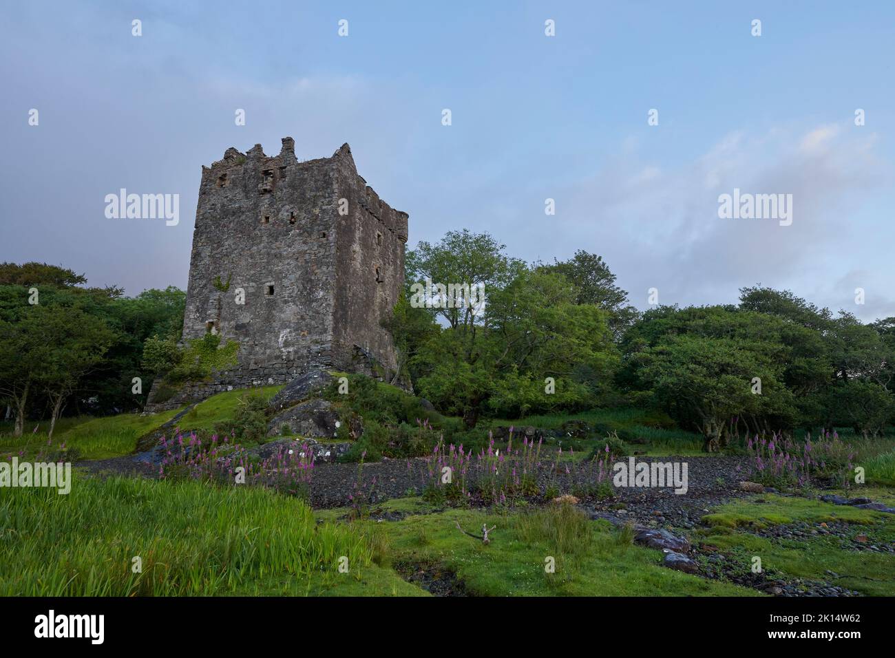 Loch Buie, Isle of Mull, Scotland Stock Photo - Alamy