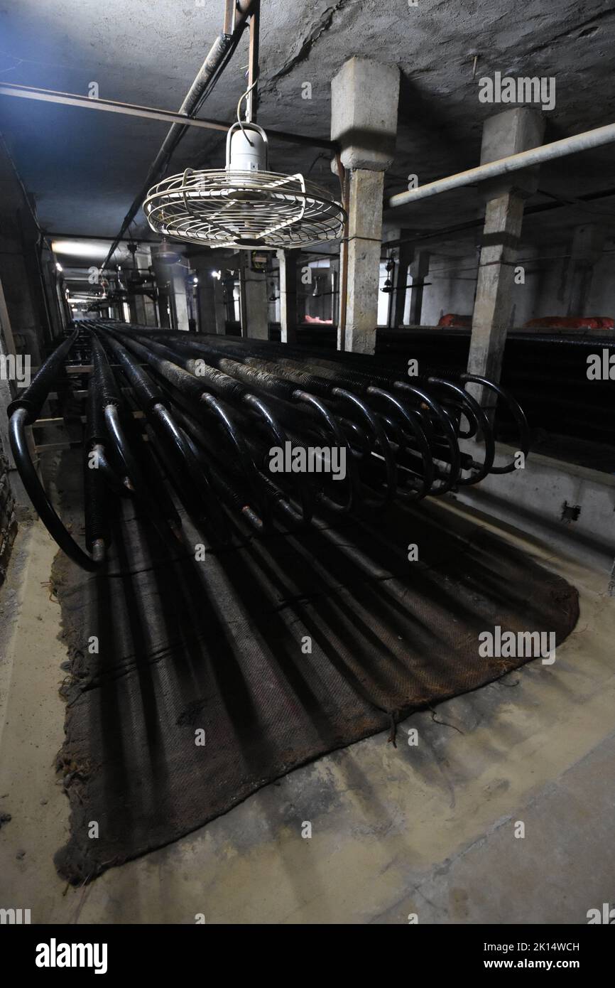 Evaporator unit with fans in refrigerated area of a potato cold storage ...
