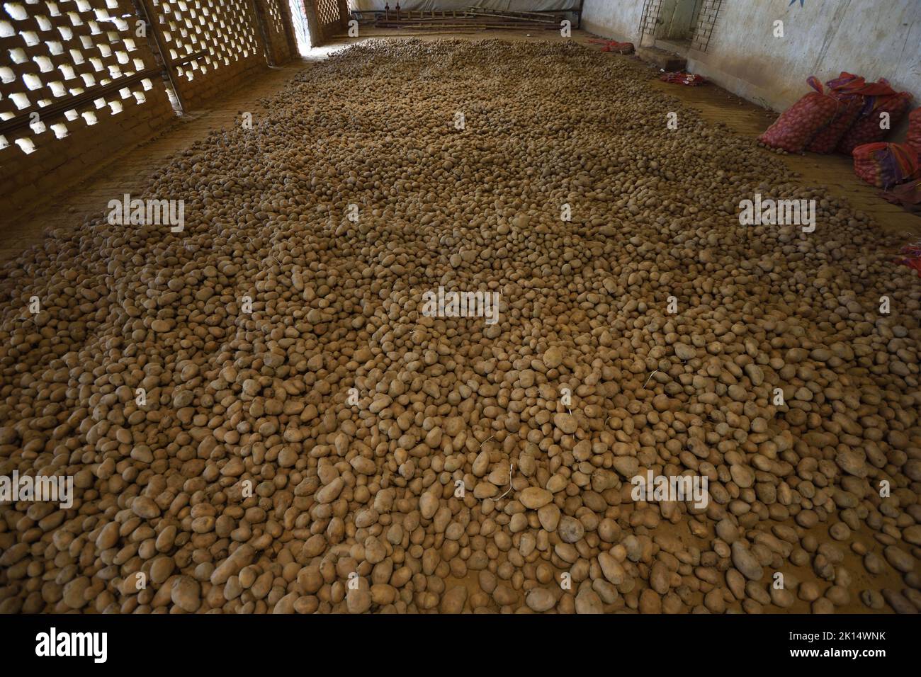 Potato drying area of a cold storage. West Bengal, India Stock Photo ...