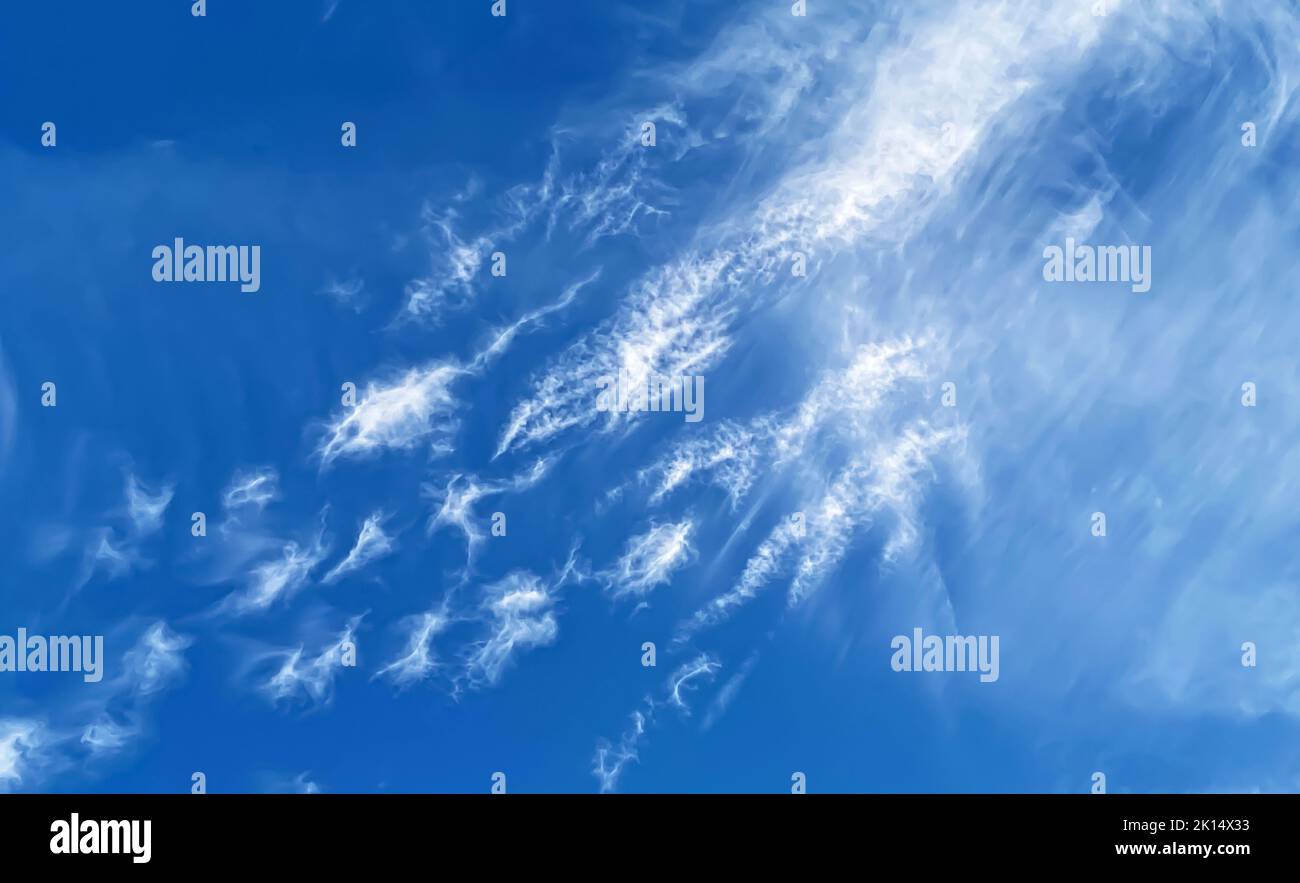 Blue clear summer sky isolated cloudscape, bright white cirrus floccus ...