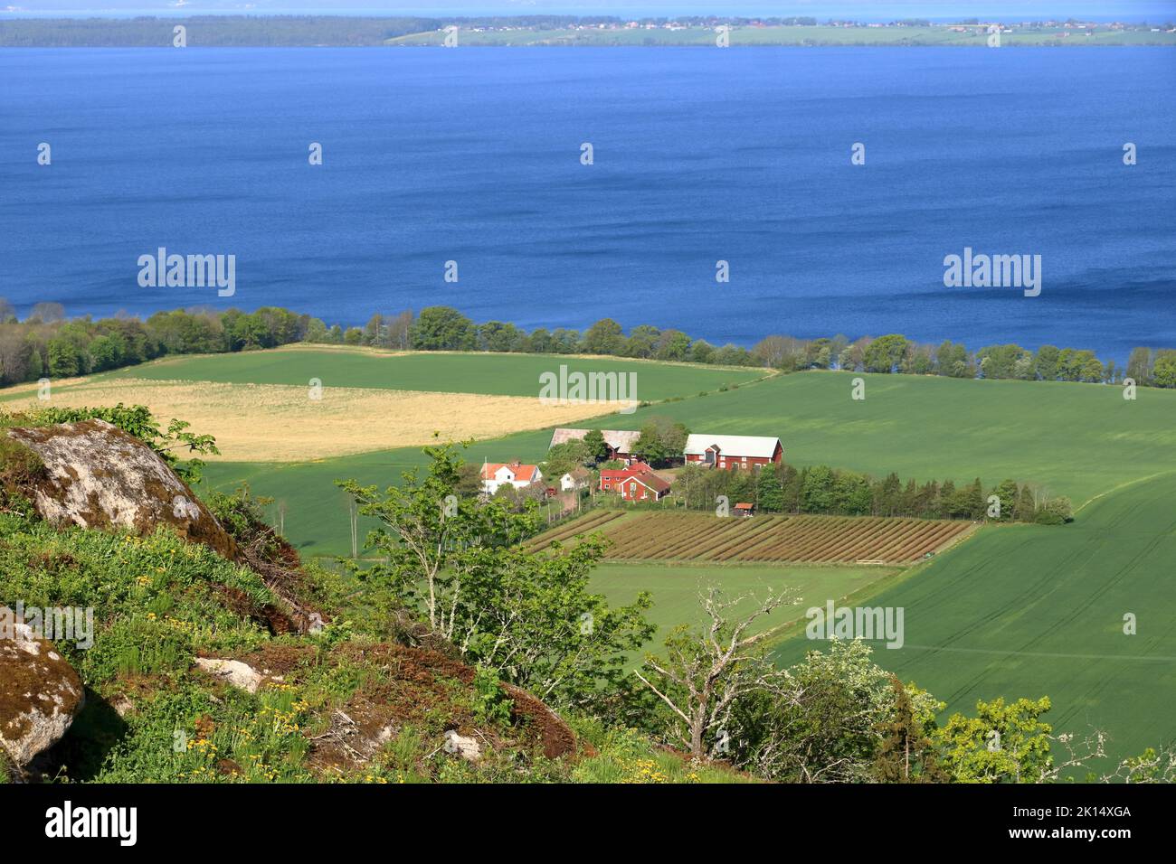 Sweden, Lake Vattern Area, Uppgranna, high angle countryside view from ...