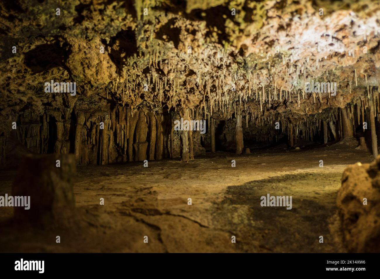 Drach Caves, Hams Caves, Mallorca, Spain Stock Photo - Alamy