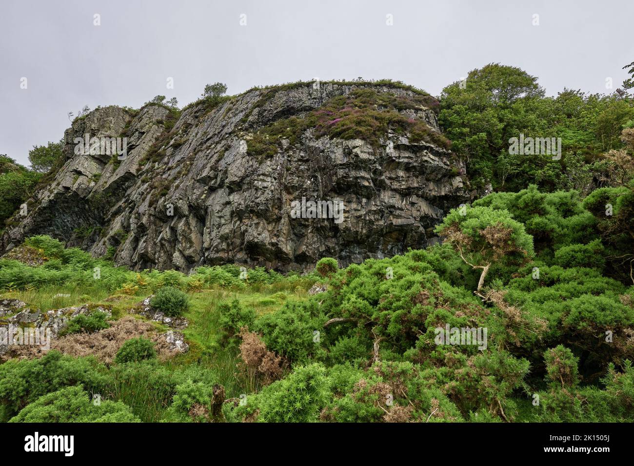 Loch Buie, Isle of Mull, Scotland Stock Photo - Alamy