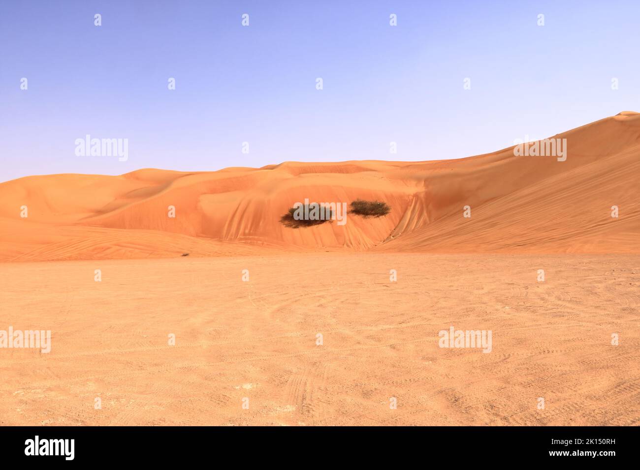 Sand dunes and desert plants the Wahiba Sands, the beautiful desert in ...