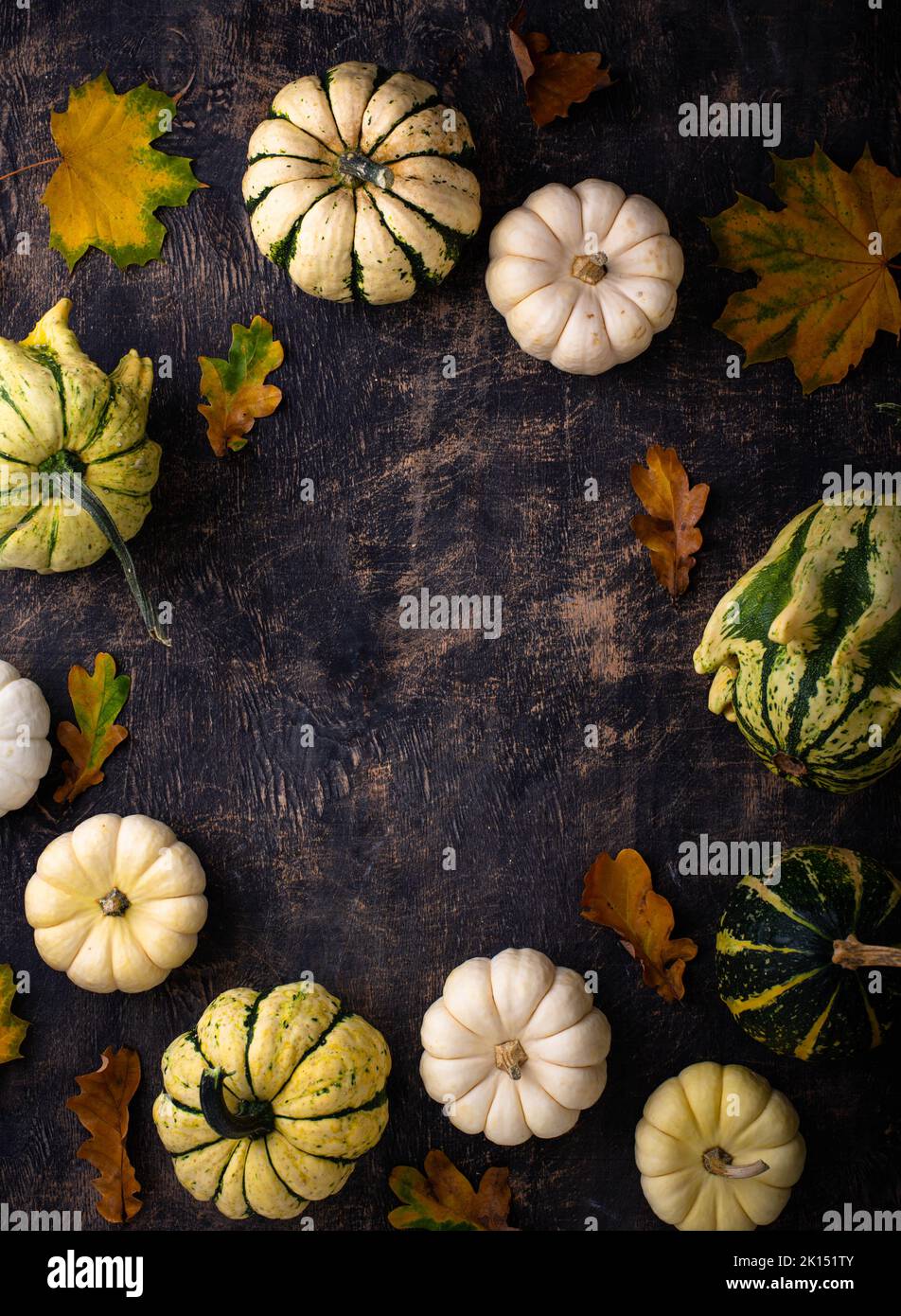 Autumn fall background with pumpkins Stock Photo - Alamy