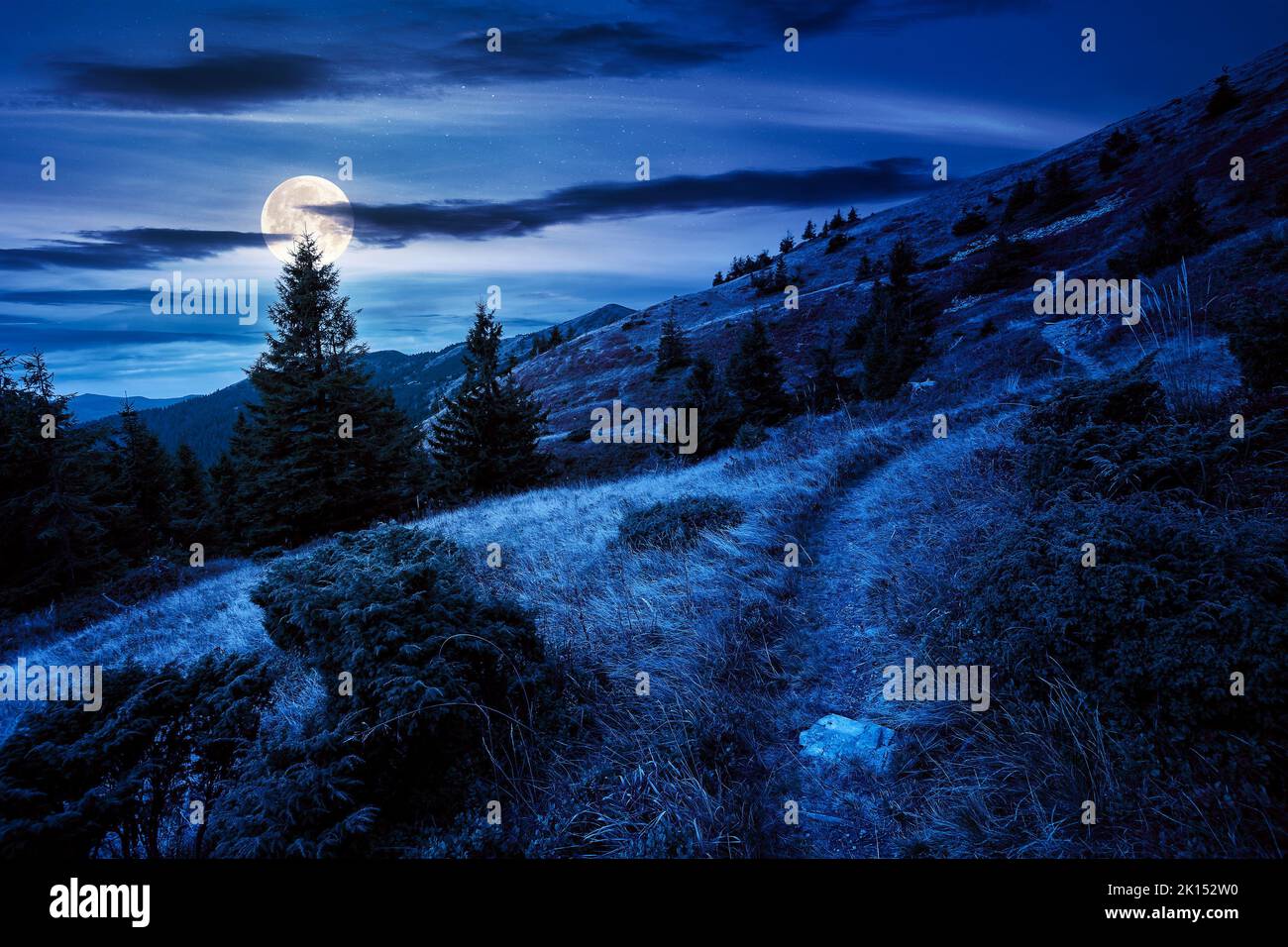 trail through mountain hill at night. landscape with trees on the ...