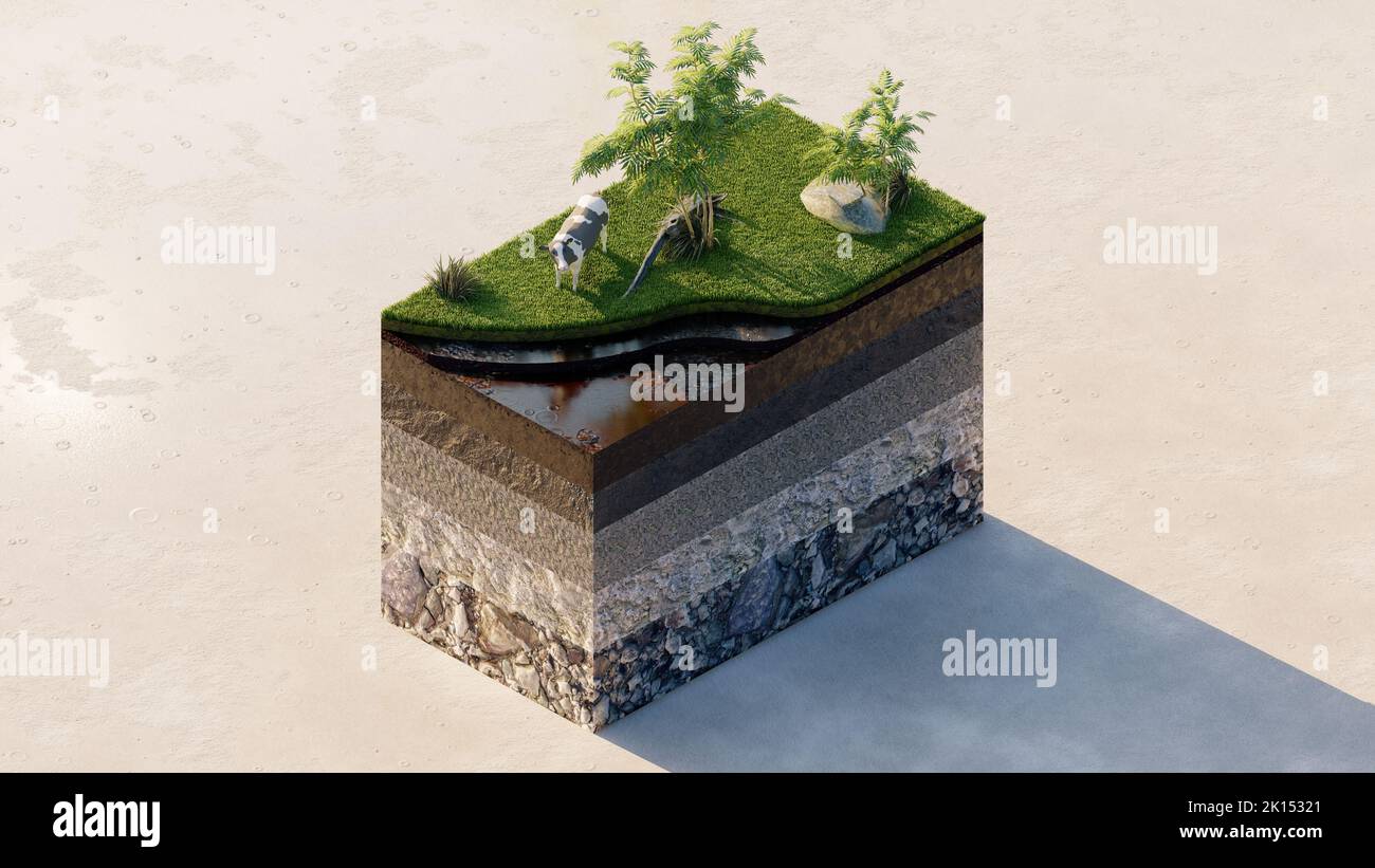 Piece of land showing soil layers rain vegetation and cattle Stock ...