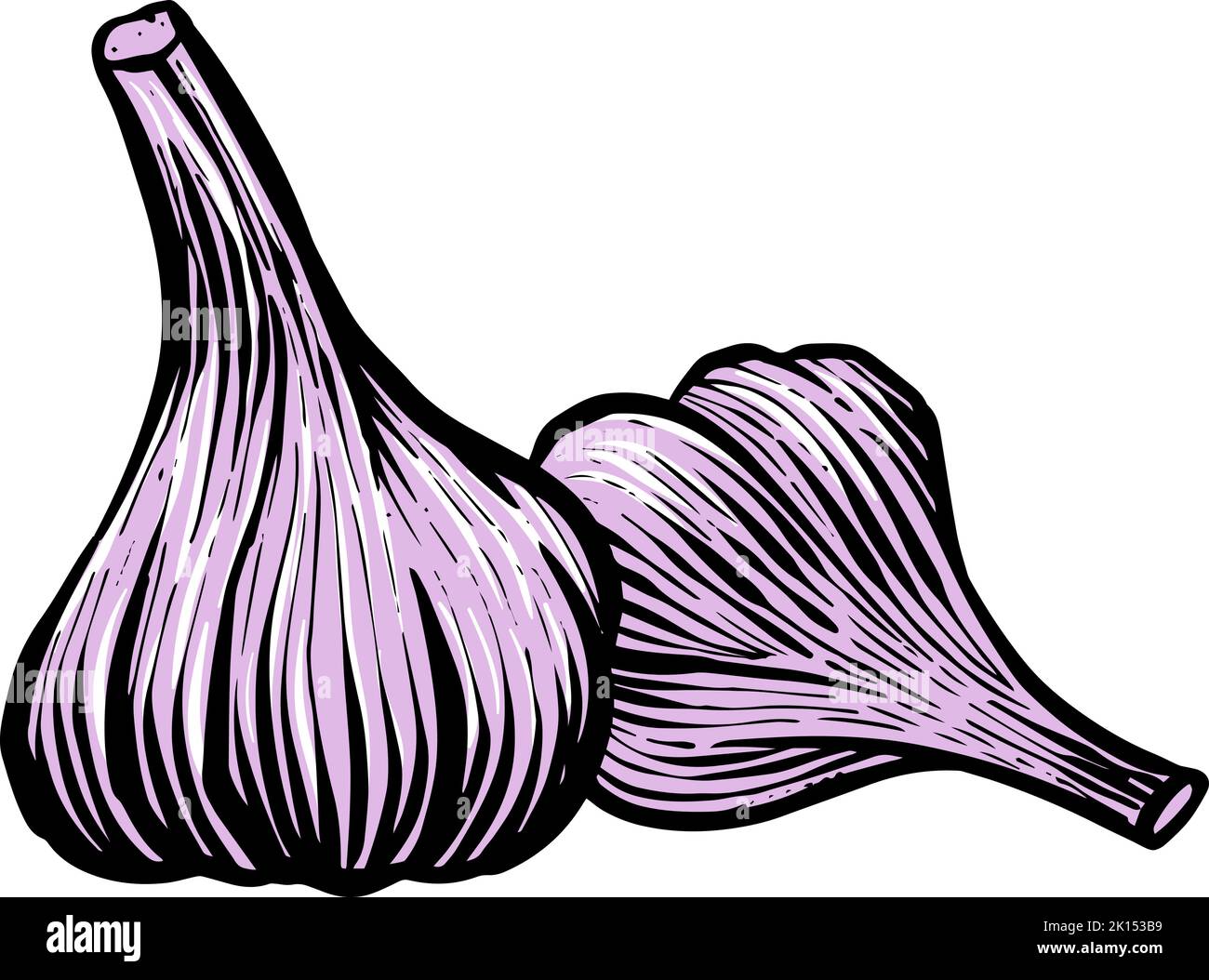 Color garlic icon Stock Vector Image & Art - Alamy