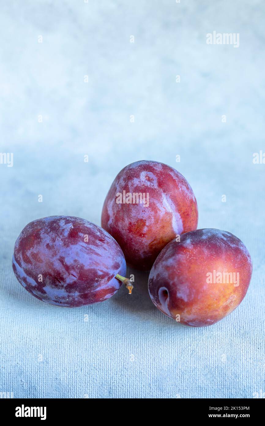 Commercial close-up still life fruit / food representation of Victoria ...