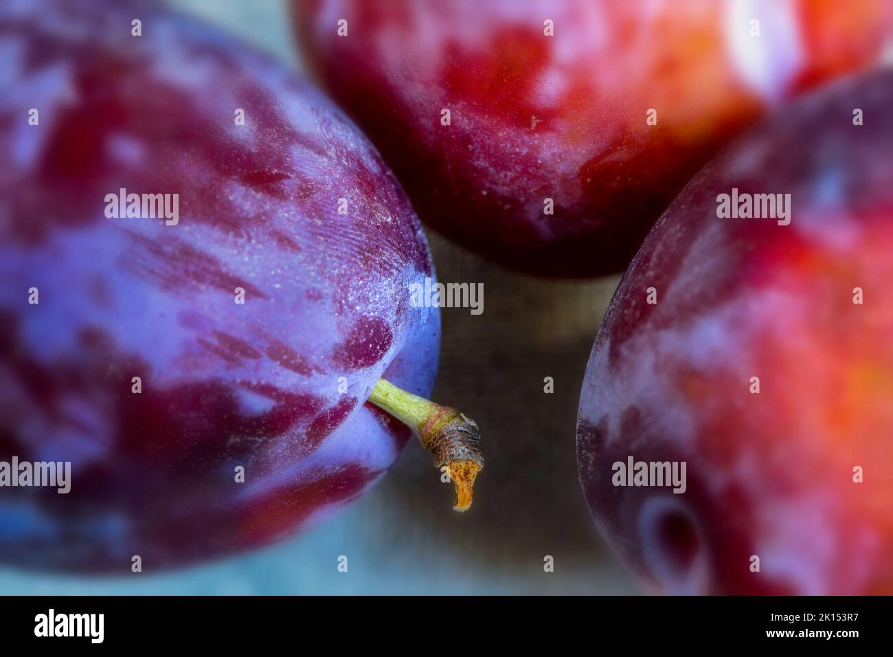Commercial close-up still life fruit / food representation of Victoria ...