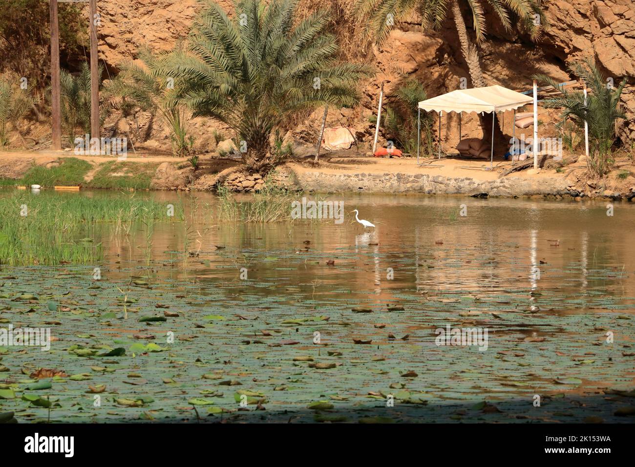 Wadi Shab, Tiwi, Oman: beautiful scenic canyon near Muscat Stock Photo ...