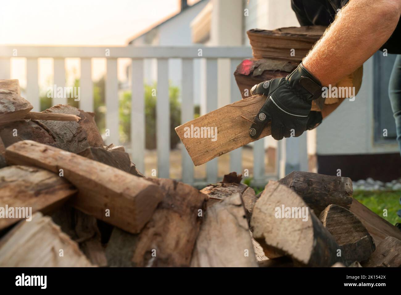 In the garden lies a pile of beech logs that have been delivered. A man ...