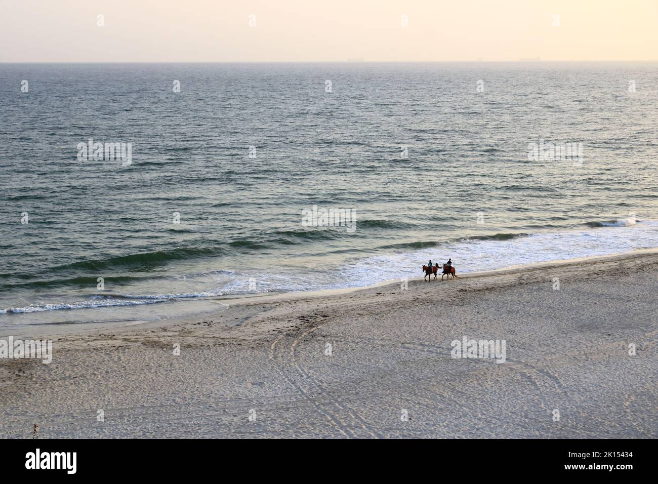 sandy beach and horses in the oman, arabic sea in salalah Stock Photo ...